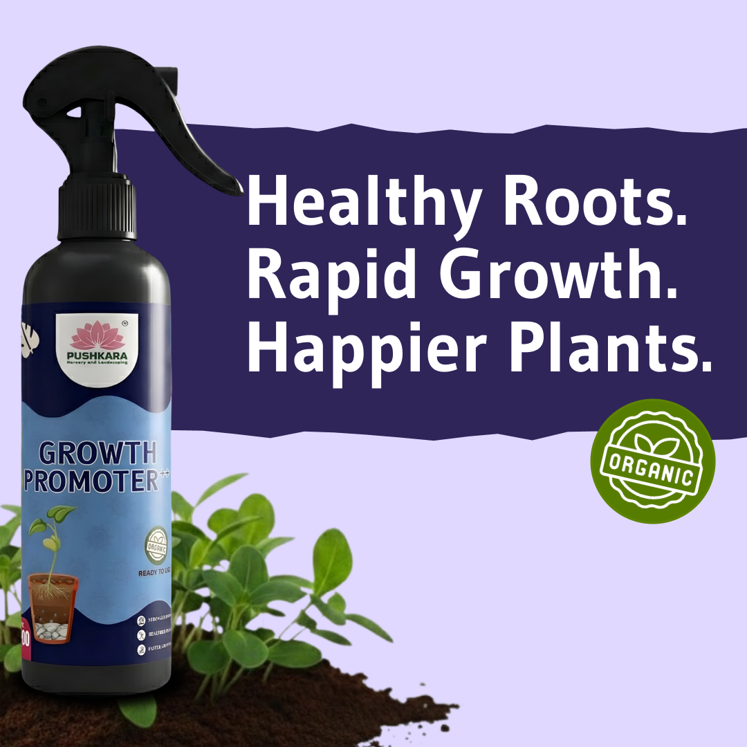 Growth Promoter++ (Ready To Use) – All-in-One Plant Tonic 500ML ...